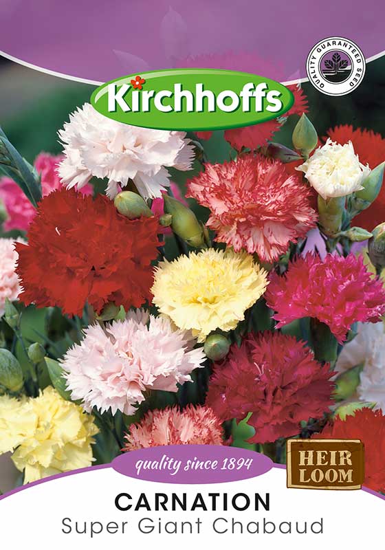 Carnation Chabaud Mix Seed