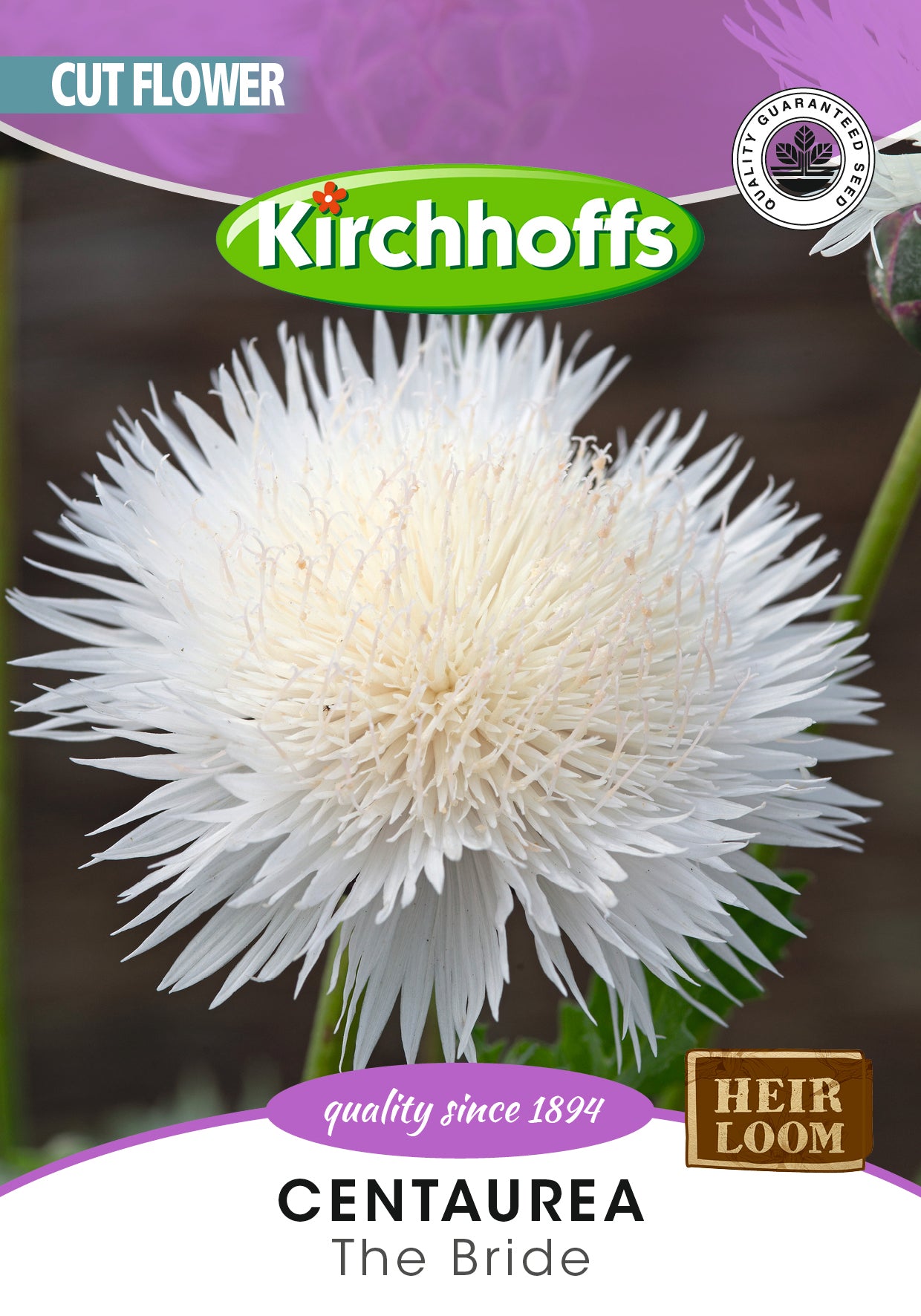 Centaurea The Bride Seed – Gro-Pak