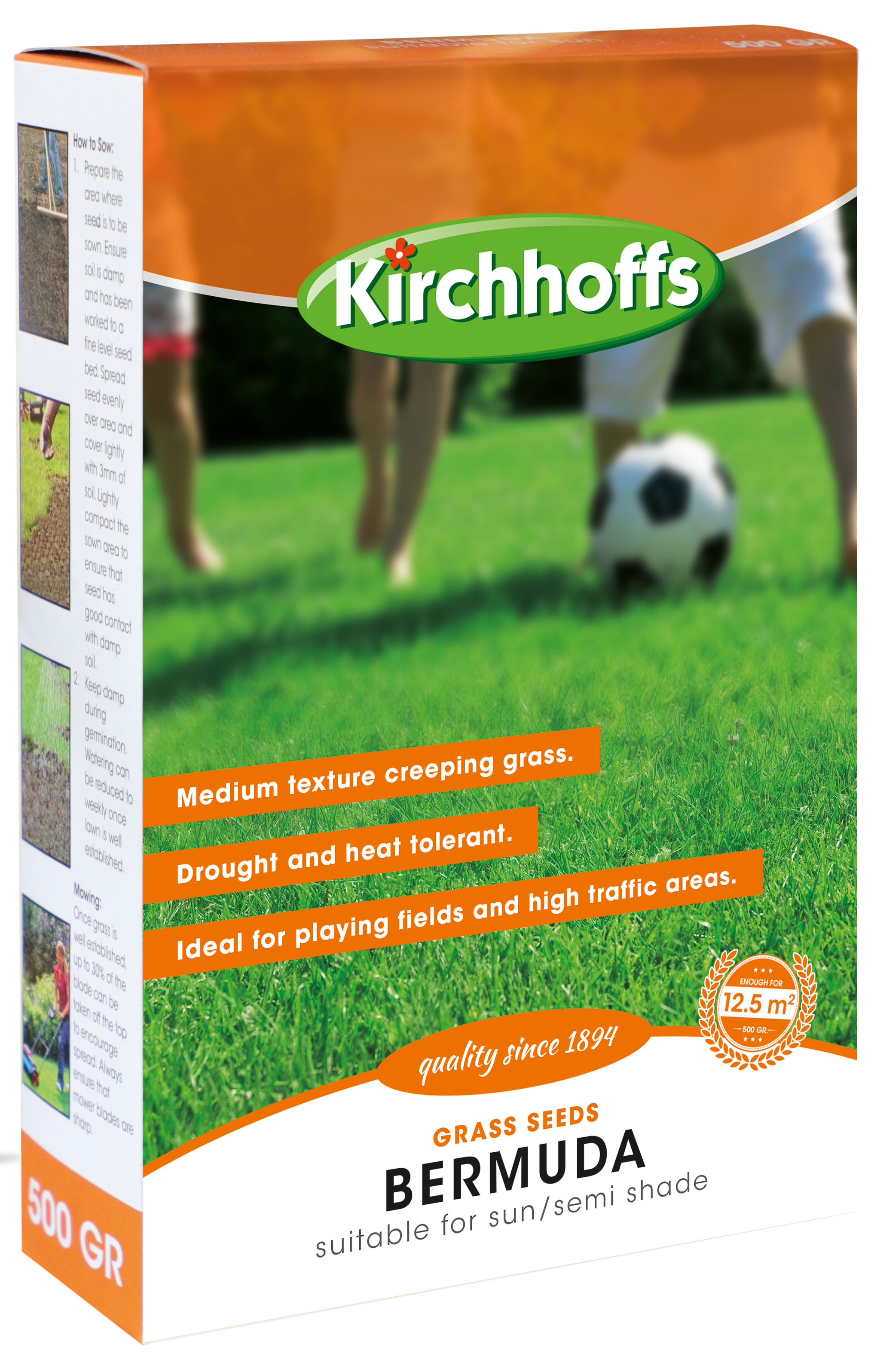 Bermuda Grass Lawn Seedlings for planting