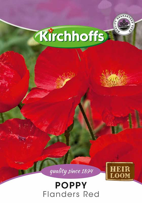 Poppy Flanders Single Red Seed