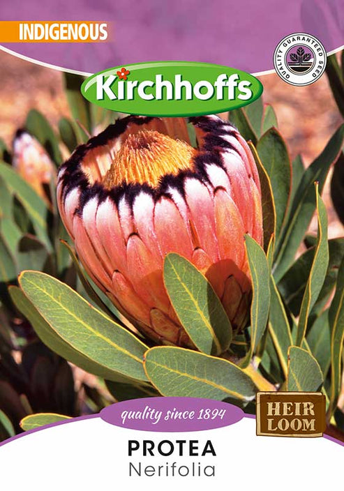 Protea Nerifolia Seed – Gro-Pak