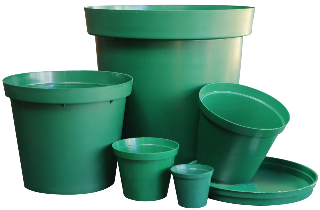 Plastic Pot - Green